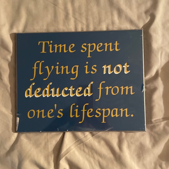 Wall Decor | Aviation Plaque Humorous Pilot Man Cave Wall Decor 9 By 12 ...